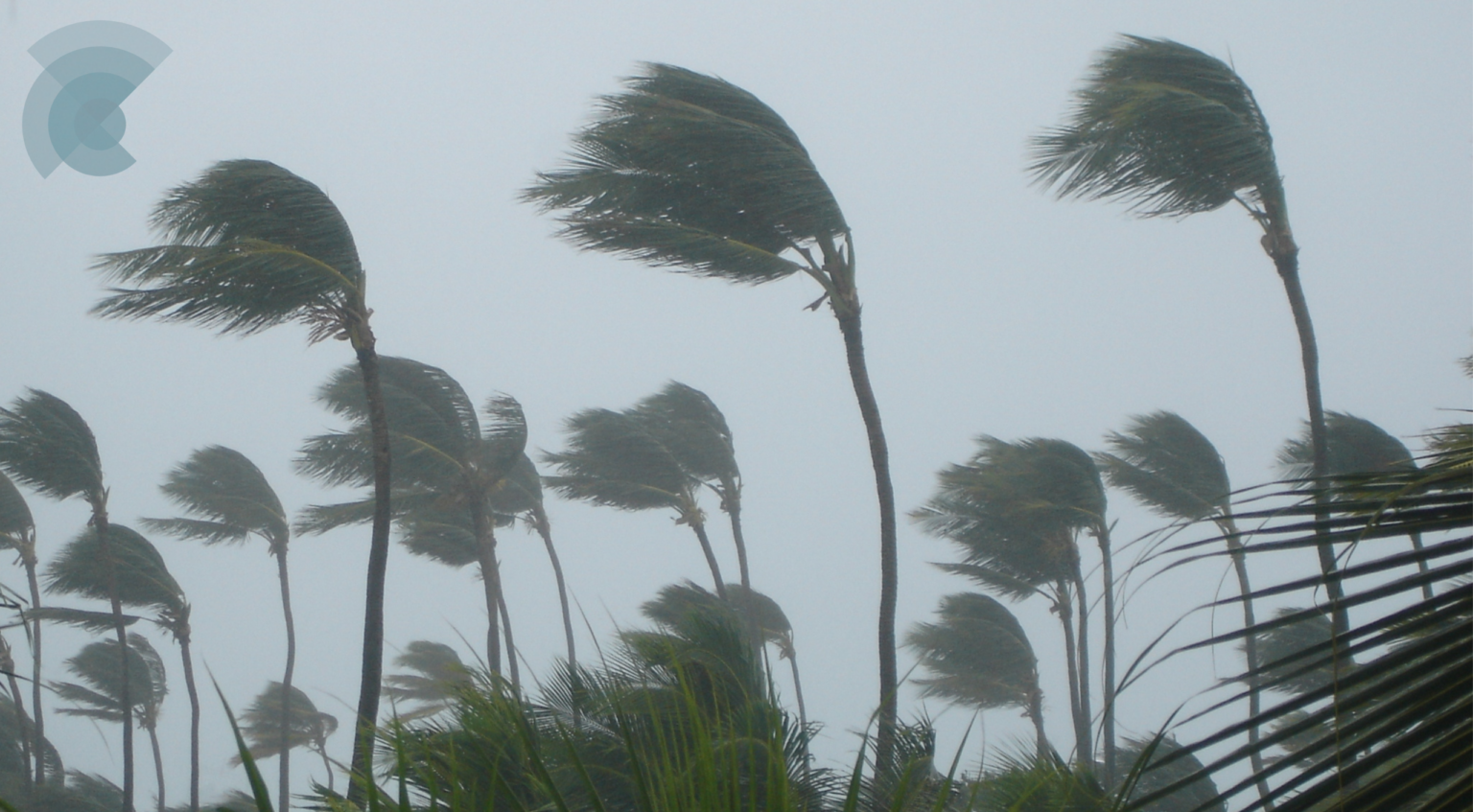 Understanding Extreme Wind Estimates | Gumbel Fit